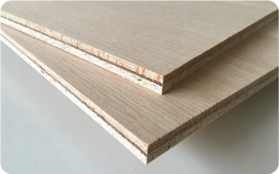 Panneaux cintrables - Wood & Ply