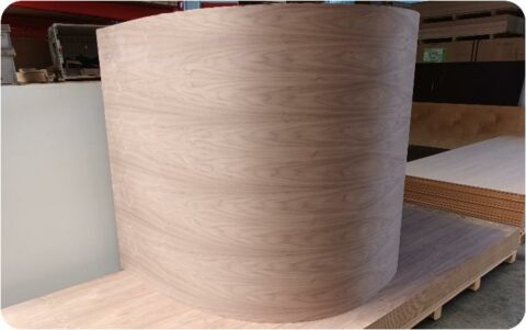 NOUVEAUTE : MDF cintrable 11mm Chêne de Fil ou Noyer US A+ - Wood & Ply